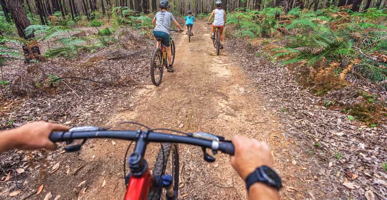 Dwellingup: Munda Biddi Explorer | GetYourGuide