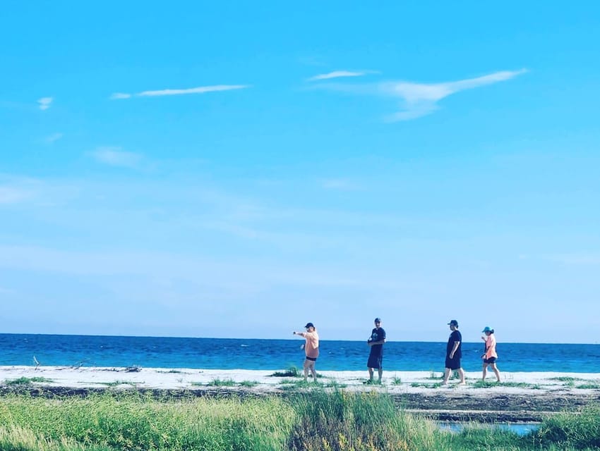 Salty Turtle Adventure Charter | GetYourGuide