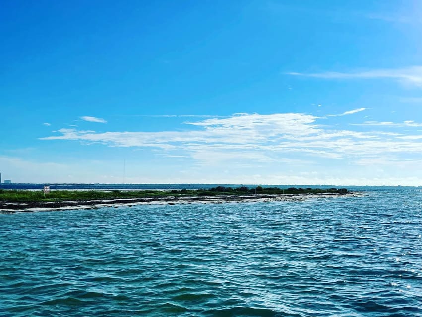 Salty Turtle Adventure Charter | GetYourGuide