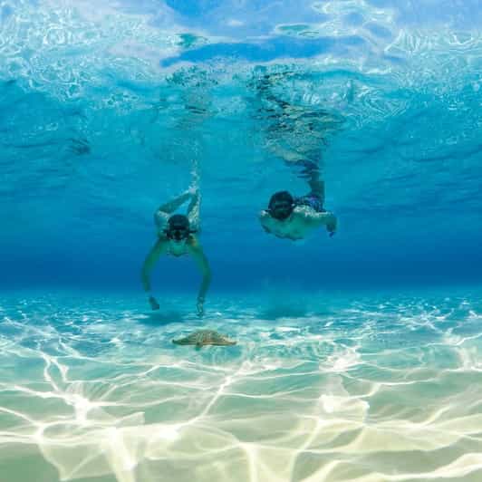 From Playa del Carmen: Cozumel Island Jimny Tour with Lunch | GetYourGuide