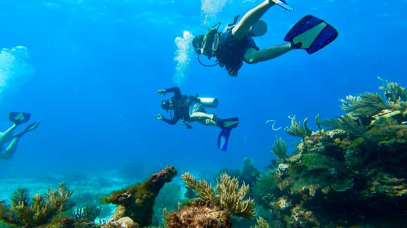 Cancun: Cancún Underwater Museum & Manchones Diving Trip | GetYourGuide