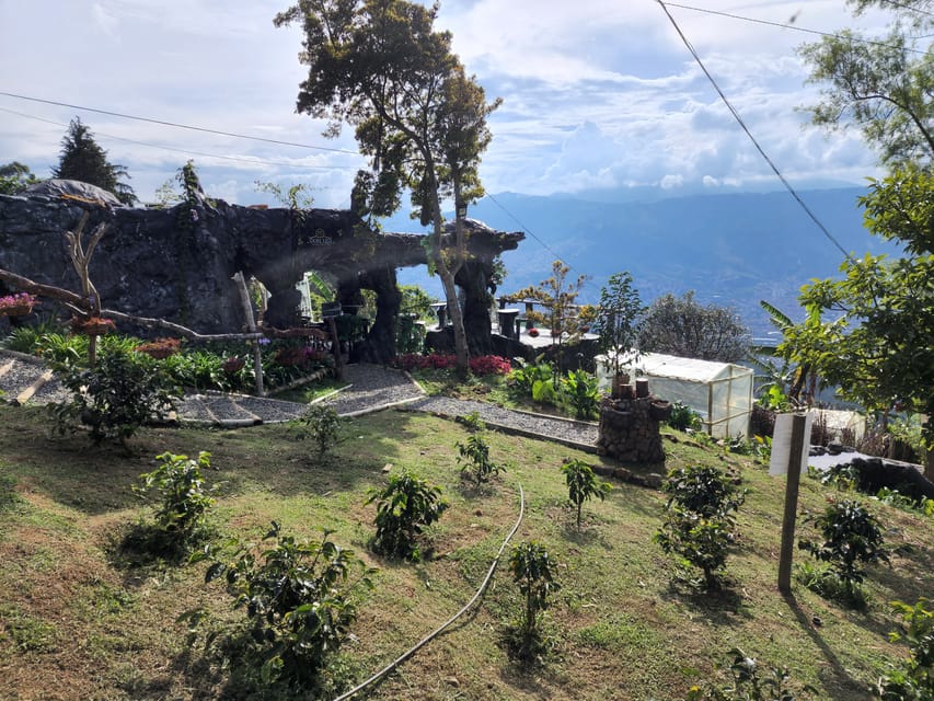 Medellín: excursión de 2 días a una finca cafetera con paseo a caballo y cabaña en el bosque ...
