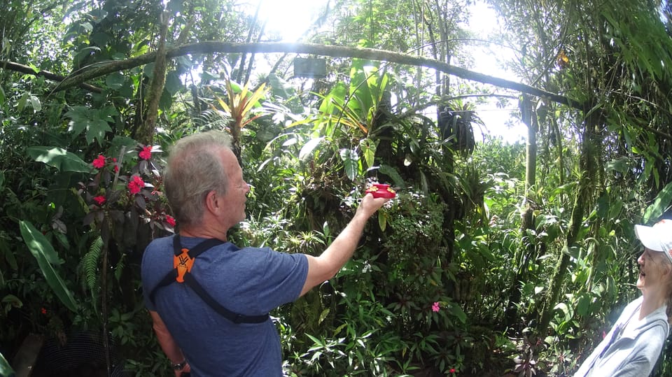 From Quito: Mindo Trekking & Wildlife Guided Day Trip | GetYourGuide