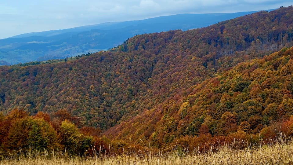 From Cluj-Napoca: Apuseni Mountains Hiking Guided Day Tour | GetYourGuide