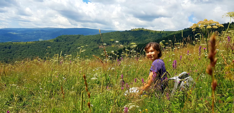 From Cluj-Napoca: Apuseni Mountains Hiking Guided Day Tour | GetYourGuide