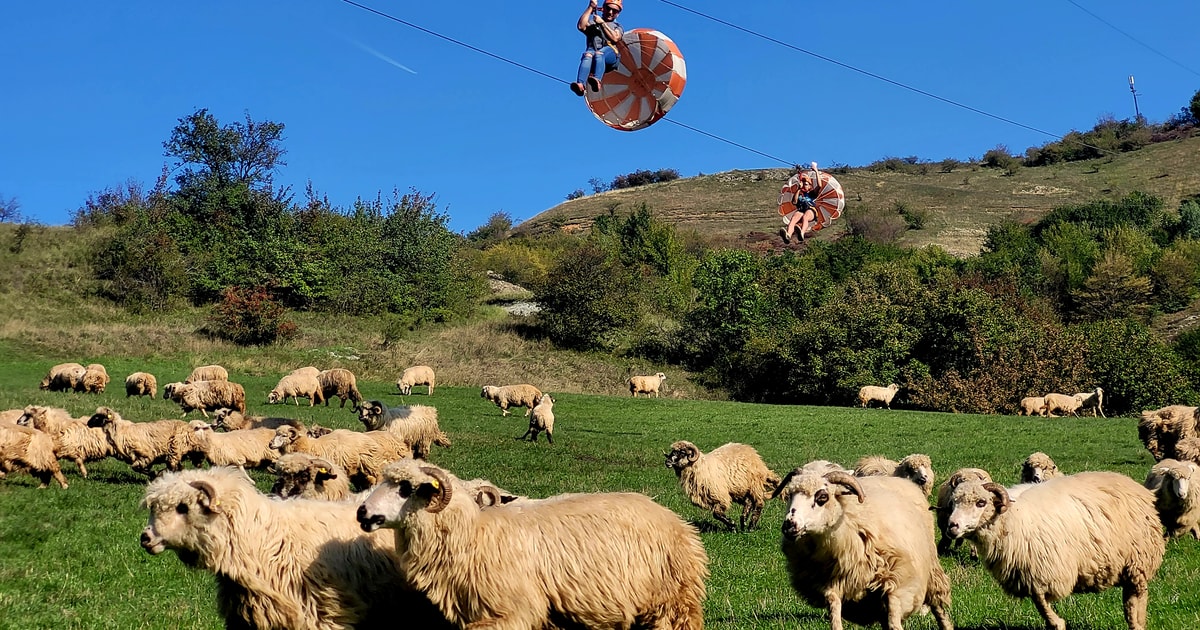 Cluj: Outdoor Activities Day Trip with Zip Line and Hike | GetYourGuide