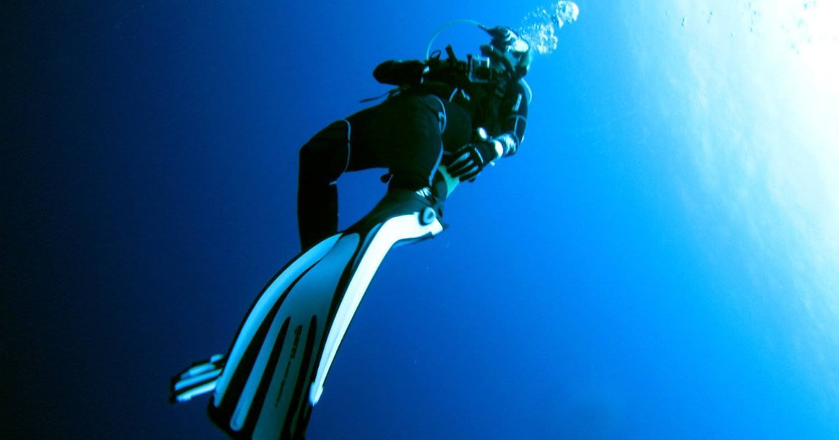 Mahahual: Deep Dive Experience | GetYourGuide