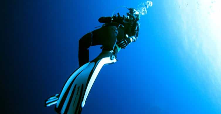 Mahahual: Deep Dive Experience | GetYourGuide