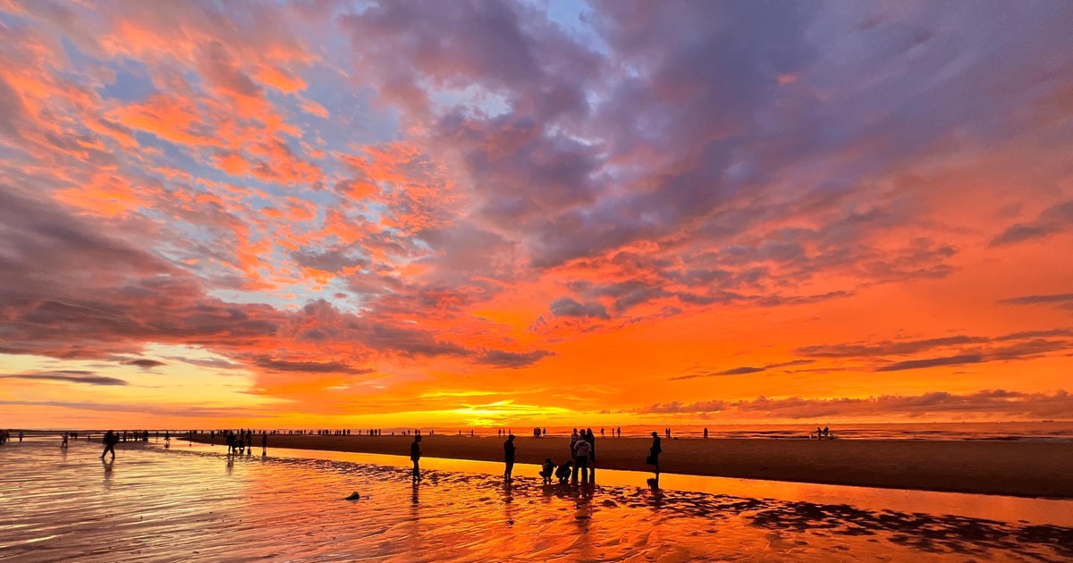 Private Tour of Kuala Penyu Sabah Proboscis & Firefly | GetYourGuide