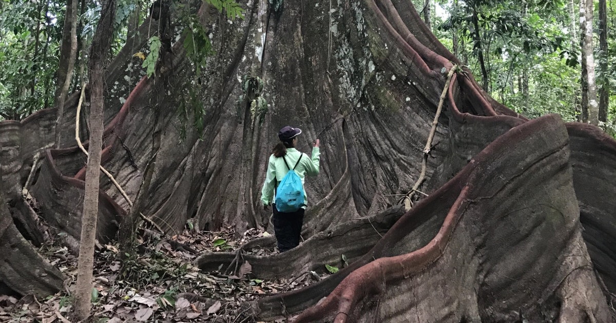 Leticia Increíbles excursiones de tres días por la selva | GetYourGuide