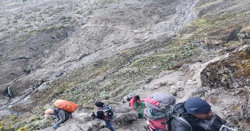 7-day Kilimanjaro climbing via Rongai route | GetYourGuide