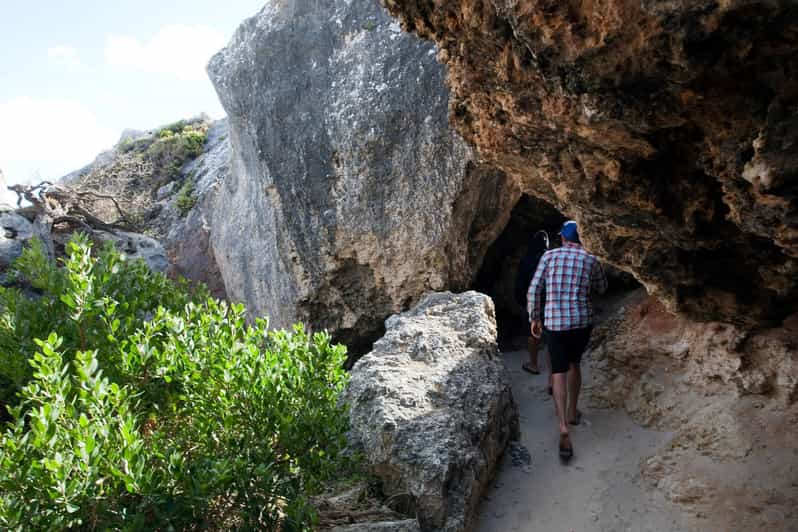 Adelaide: 3-Day Guided Kangaroo Island Wildlife Excursion | GetYourGuide