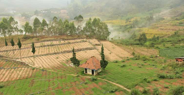 From Yogyakarta: The Beauty Of Dieng Guided Day Tour | GetYourGuide