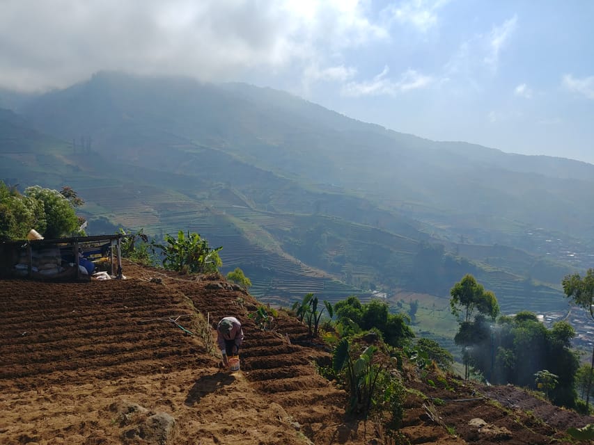 From Yogyakarta: The Beauty Of Dieng Guided Day Tour | GetYourGuide