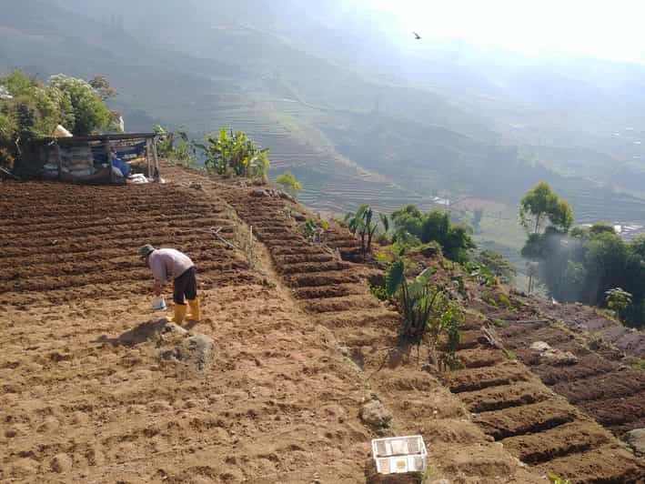 From Yogyakarta: The Beauty Of Dieng Guided Day Tour | GetYourGuide