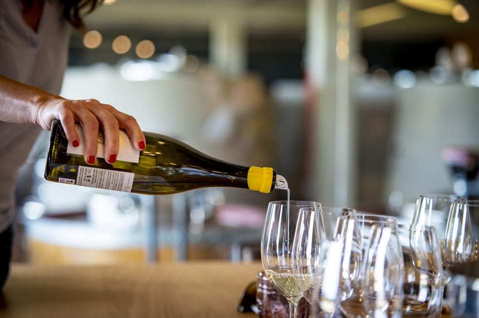 Santiago de Compostela: Cata de Quesos y Vinos | GetYourGuide