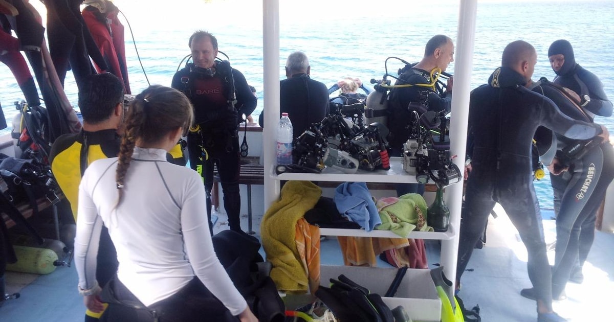 Aqaba: 2 Guided Dives Boat Trip with Gear and Buffet Lunch | GetYourGuide