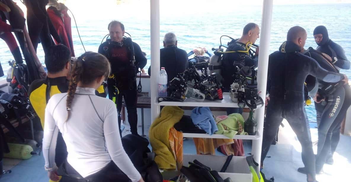 Aqaba: 2 Guided Dives Boat Trip with Gear and Buffet Lunch | GetYourGuide