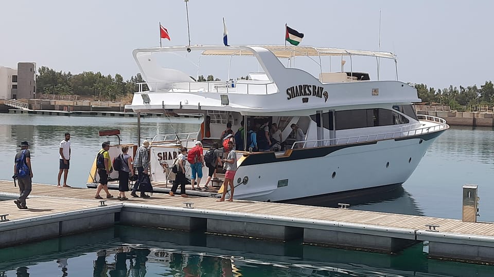 Aqaba: 2 Guided Dives Boat Trip with Gear and Buffet Lunch | GetYourGuide