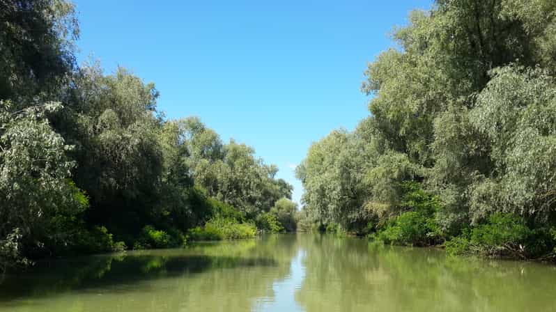 Private 3-Day Tour Danube Delta Birdwaching from Bucharest | GetYourGuide