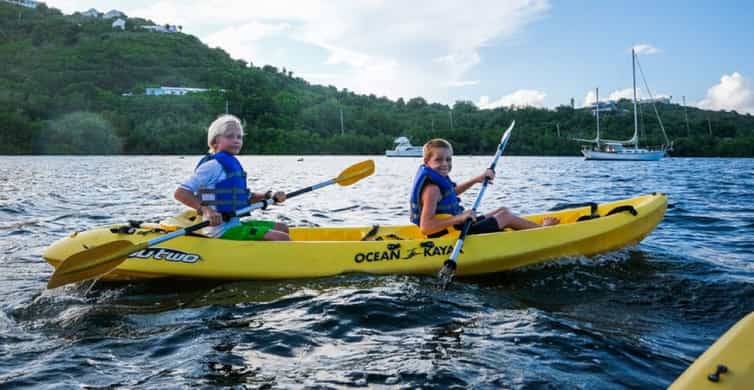Salt River Bay: Half-Day Kayak Rental | GetYourGuide