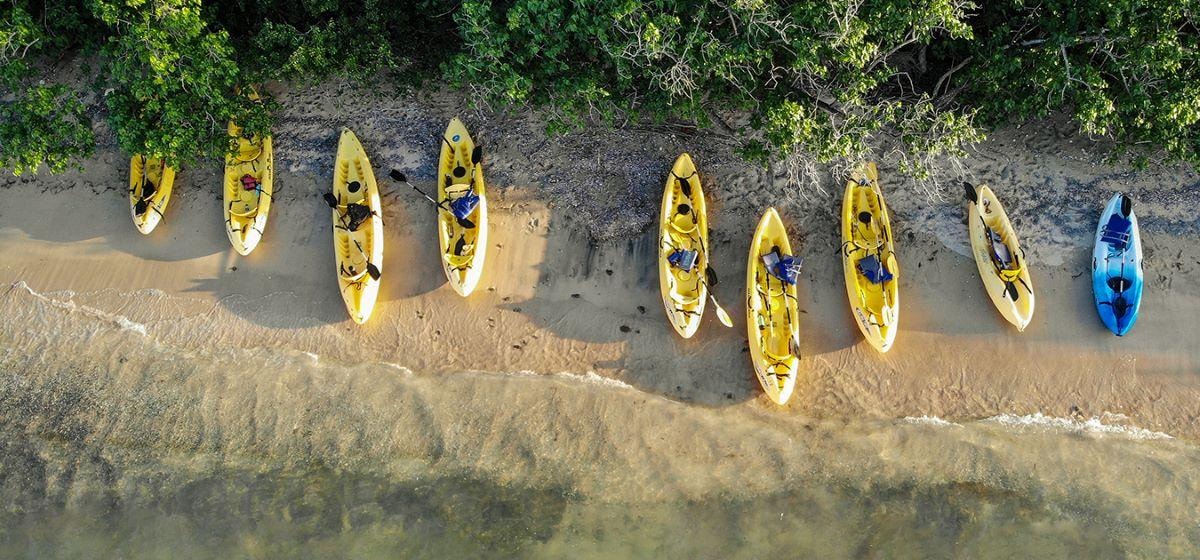 Salt River Bay: Half-Day Kayak Rental | GetYourGuide