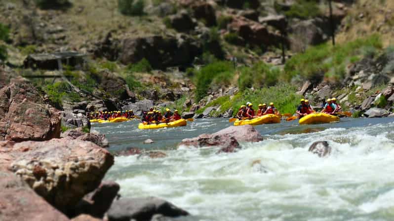 Cañon City: Royal Gorge Half-Day Whitewater Rafting | GetYourGuide