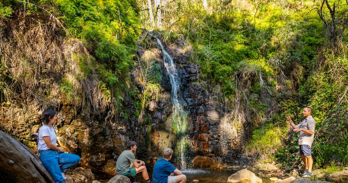Mount Lofty Summit Hike and Cleland Wildlife Park Visit | GetYourGuide