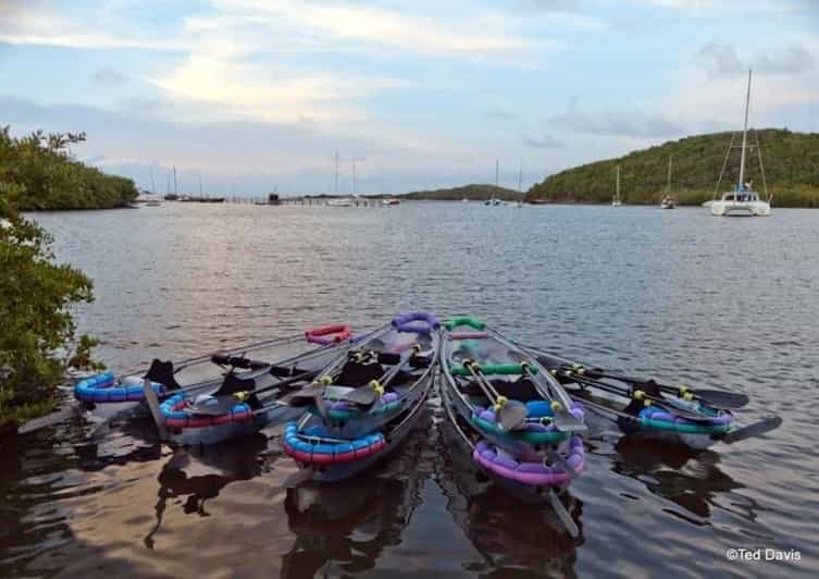 Saint Croix: Alquiler de tablas de surf de remo | GetYourGuide