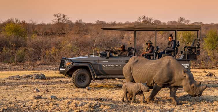 Victoria Falls: Big 5 Night Rhino Game Drive + Bush Dinner | GetYourGuide