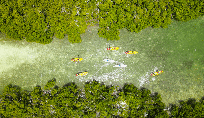 Key West: Sandbar Excursion & Kayak Tour with Lunch & Drinks | GetYourGuide