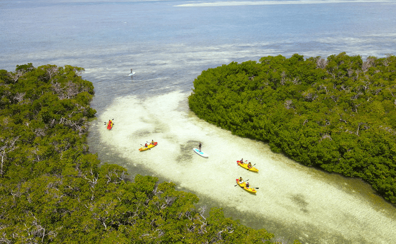 Key West: Sandbar Excursion & Kayak Tour with Lunch & Drinks | GetYourGuide