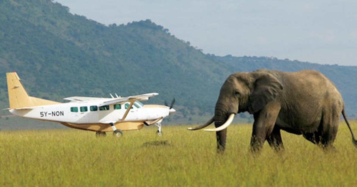 Nairobi: 3-Day Masai Mara Safari with Luxury Lodge & Flights | GetYourGuide