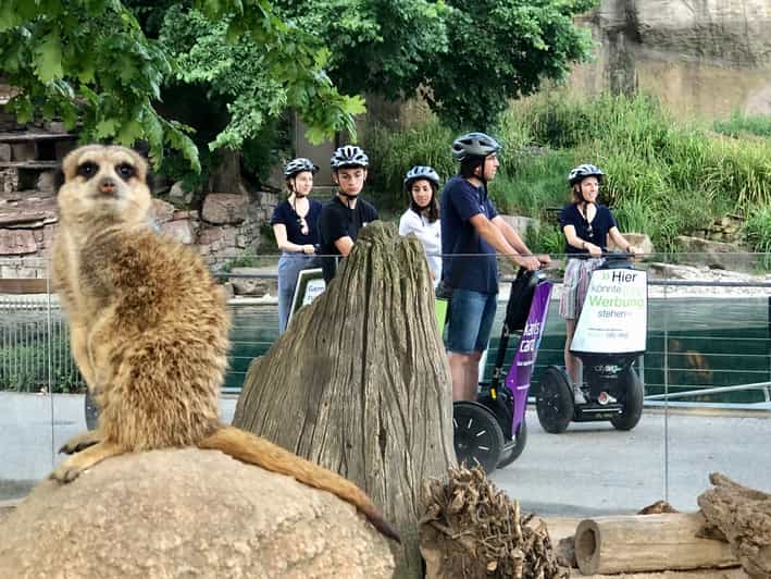 Karlsruhe: Early Bird Private Karlsruhe Zoo Segway Tour | GetYourGuide