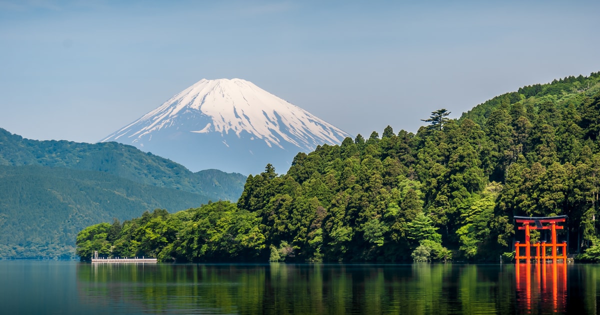 Desde Tokio: Excursión Privada de un Día a Hakone con Crucero por el Lago Ashi | GetYourGuide