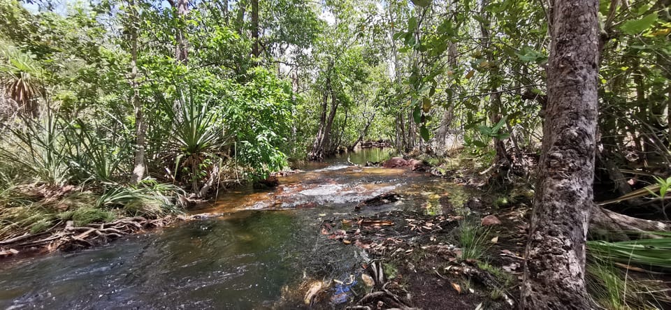 Litchfield National Park, Small Group Fun, Day Tour, Darwin | GetYourGuide