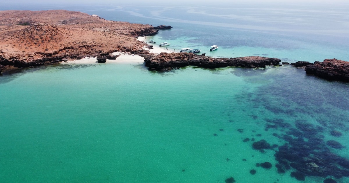 Muscat: Daymaniat Islands Snorkeling Tour | GetYourGuide
