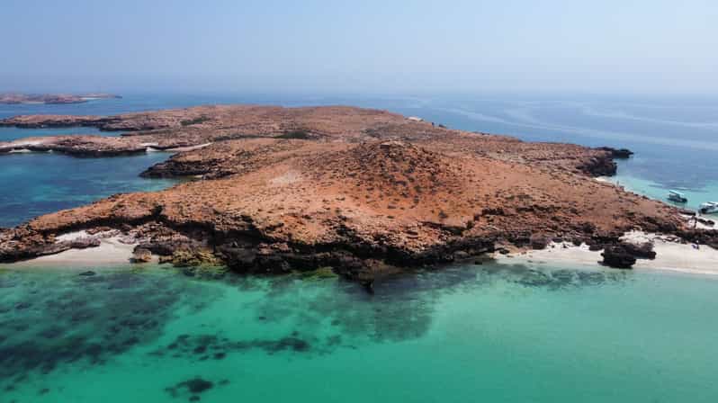 Muscat: Daymaniat Islands Snorkeling Tour | GetYourGuide