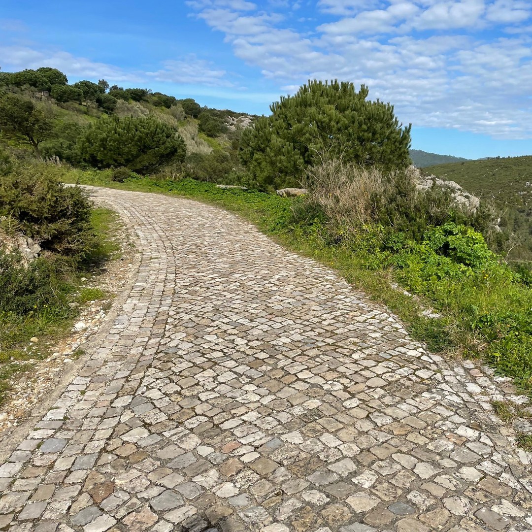 Cascais-Sintra E-bike Tour: Coast & Countryside Adventure | GetYourGuide