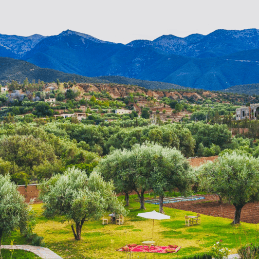 From Marrakech: Ouirgane Day Trip with Traditional Lunch | GetYourGuide