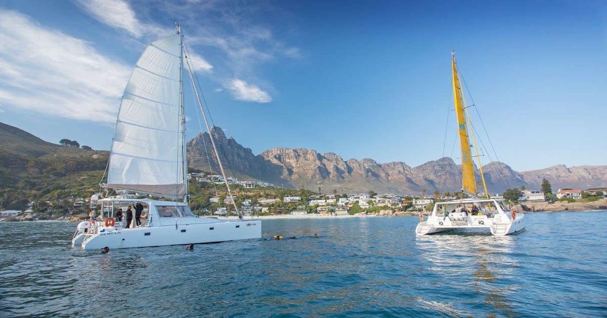 Keiptauna: V&A Waterfront 1 stundas izbraukuma kruīzs ar skatu uz ...