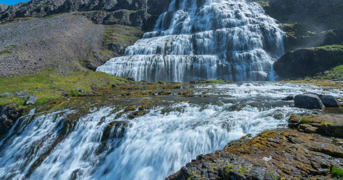 From Reykjavík: 3-Day Tour of the Wild Westfjords | GetYourGuide