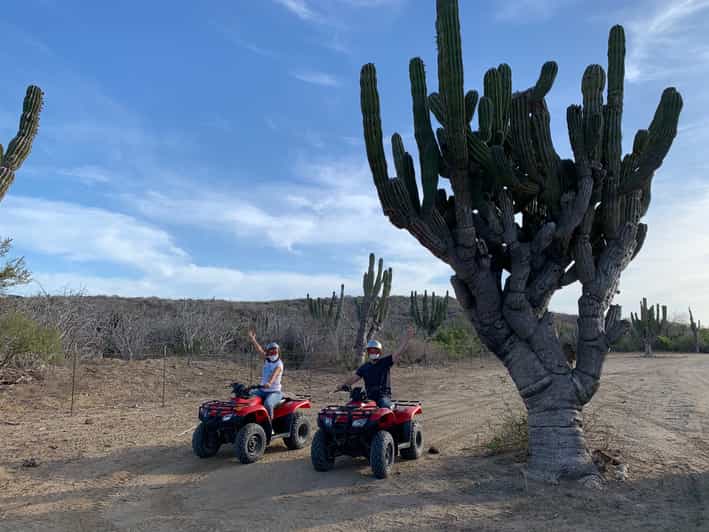San José del Cabo: Half-Day Guided ATV Ride with Transfers | GetYourGuide