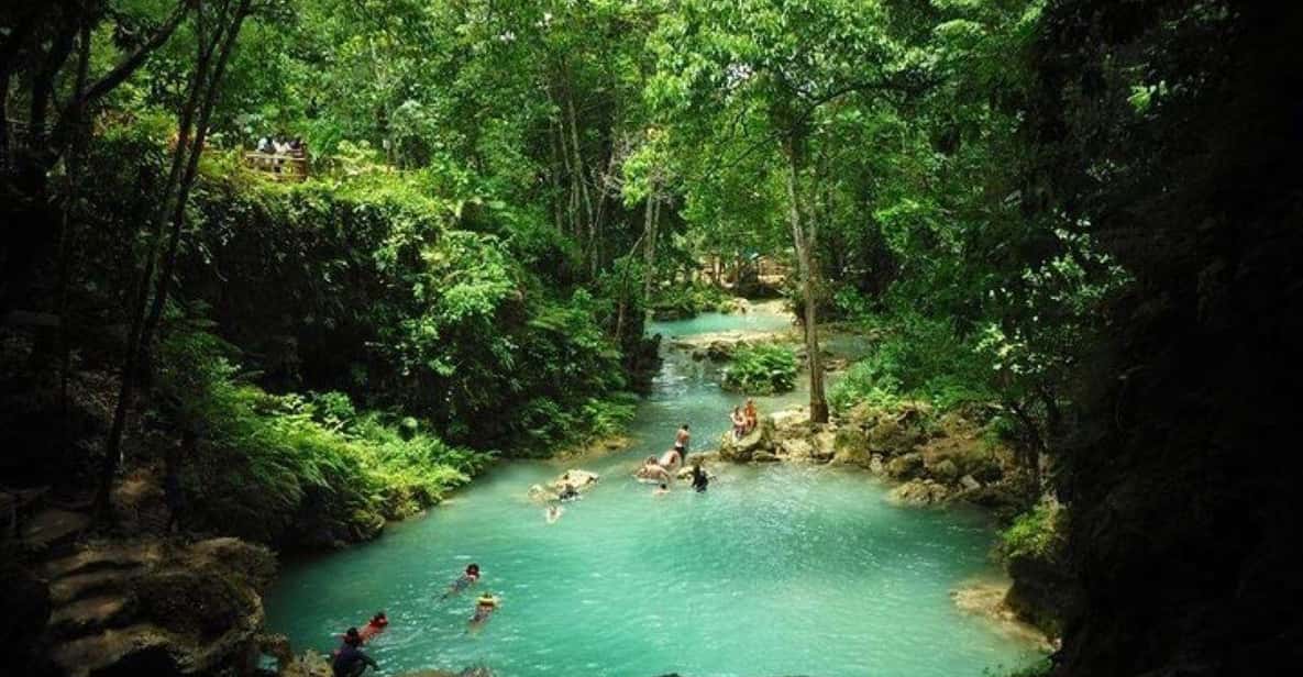 Desde Montego Bay Excursión en furgoneta por el río Dunn y las ...
