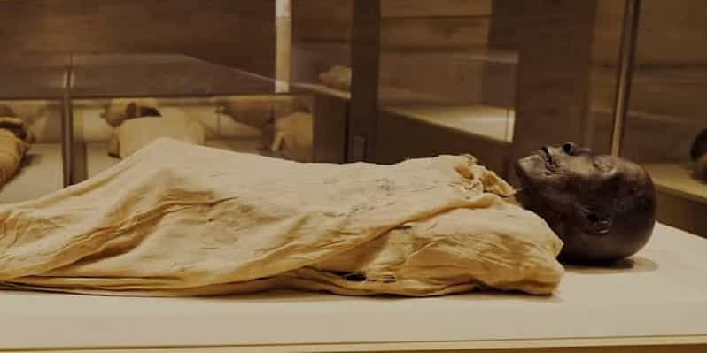 Von Kairo aus: Ägyptische und zivilisatorische Museen Private Tour ...