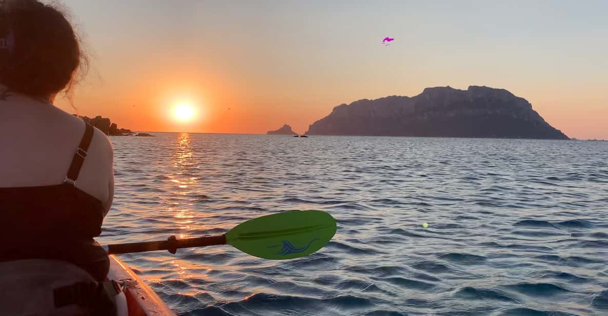Sunrise Kayak Tour with Snorkeling and Coffee Experience | GetYourGuide