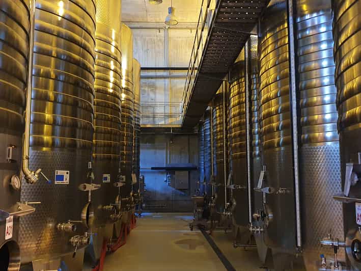 Winery visit & Wine Tasting: half-day tour | GetYourGuide