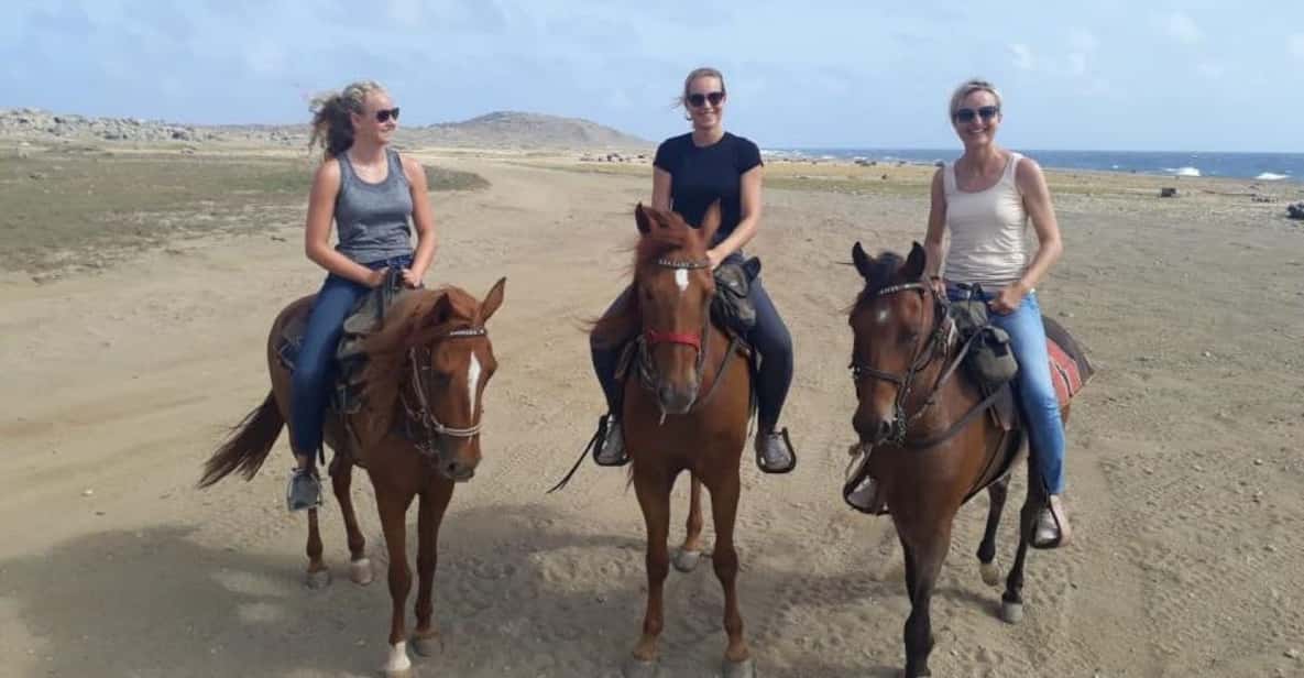 Aruba: 2,5 órás lovaglás haladó lovasoknak | GetYourGuide
