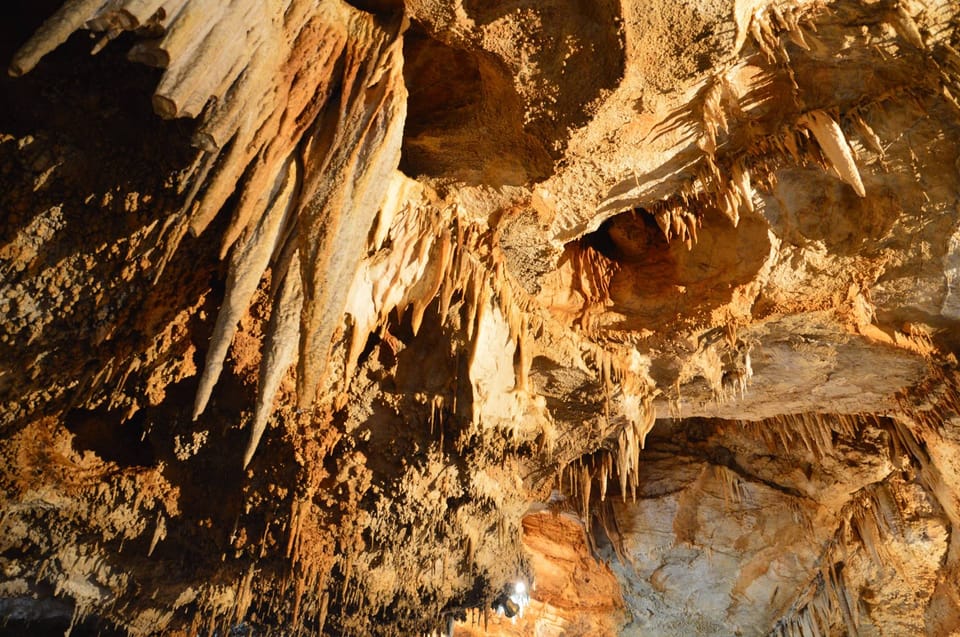 Donkey Farm and Lipa Cave Tour; Cave Crawling Donkey Calling | GetYourGuide