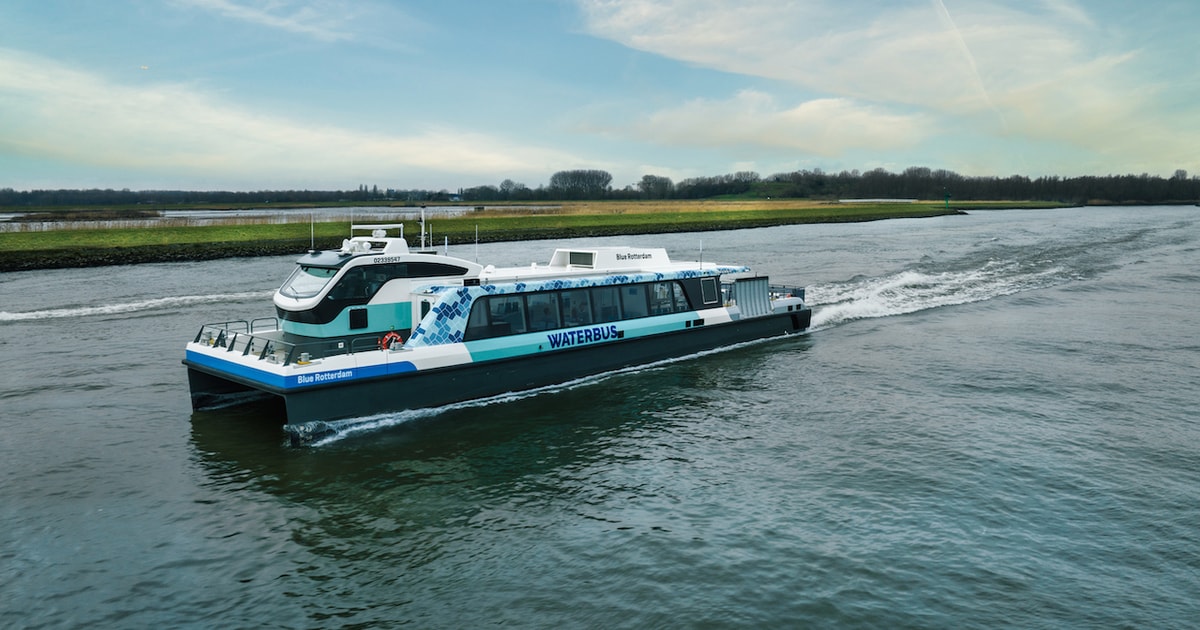 Rotterdam: Waterbus Ticket to Kinderdijk and Dordrecht | GetYourGuide